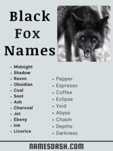 799+ Best Fox Names: Unique, Funny & Top Names for Foxes